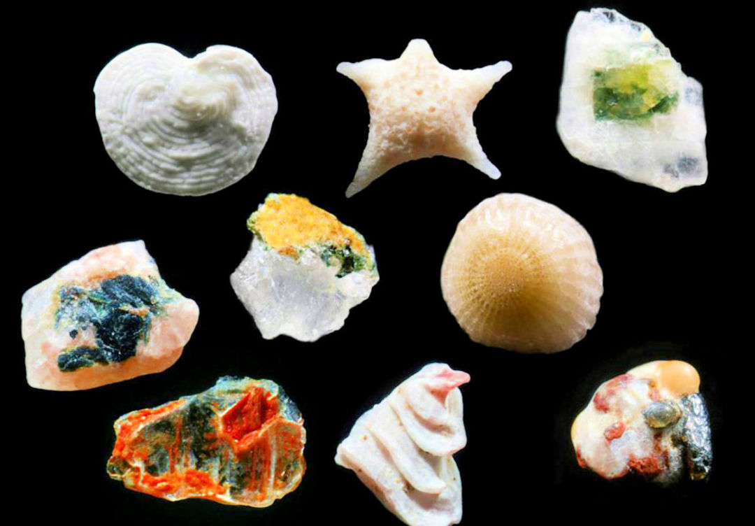 Sand under a Microscope; How Does Magnified Sand Look?
