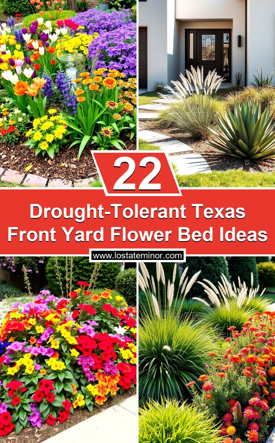 22 Drought-Tolerant Texas Front Yard Flower Bed Ideas - Lost At E Minor