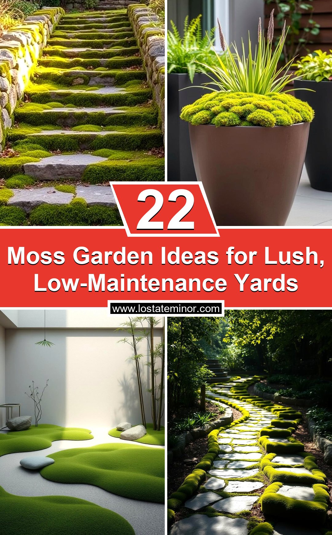 22 Moss Garden Ideas for Lush, Low-Maintenance Yards - Lost At E Minor