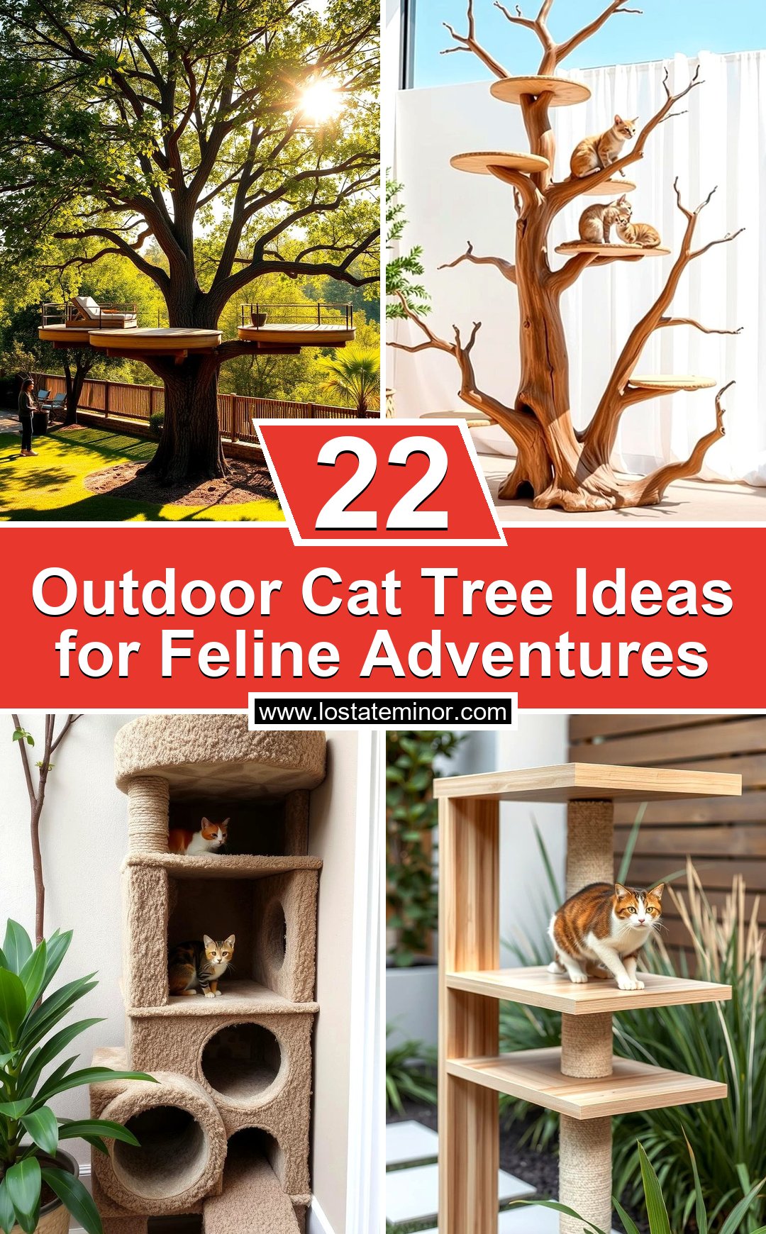 22 Outdoor Cat Tree Ideas for Feline Adventures - Lost At E Minor