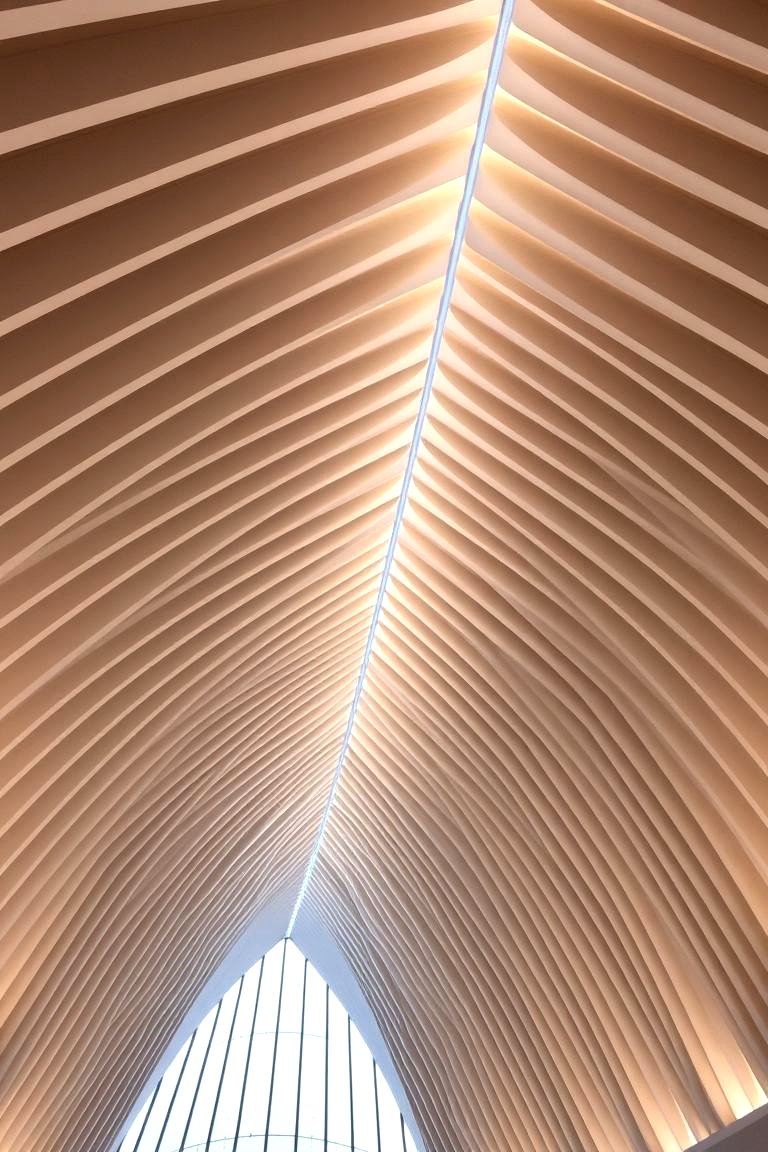 22 Cathedral Ceiling Ideas to Elevate Your Home Design - Lost At E Minor